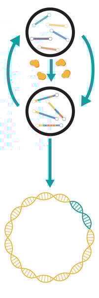 Technology overview | Camena Bioscience